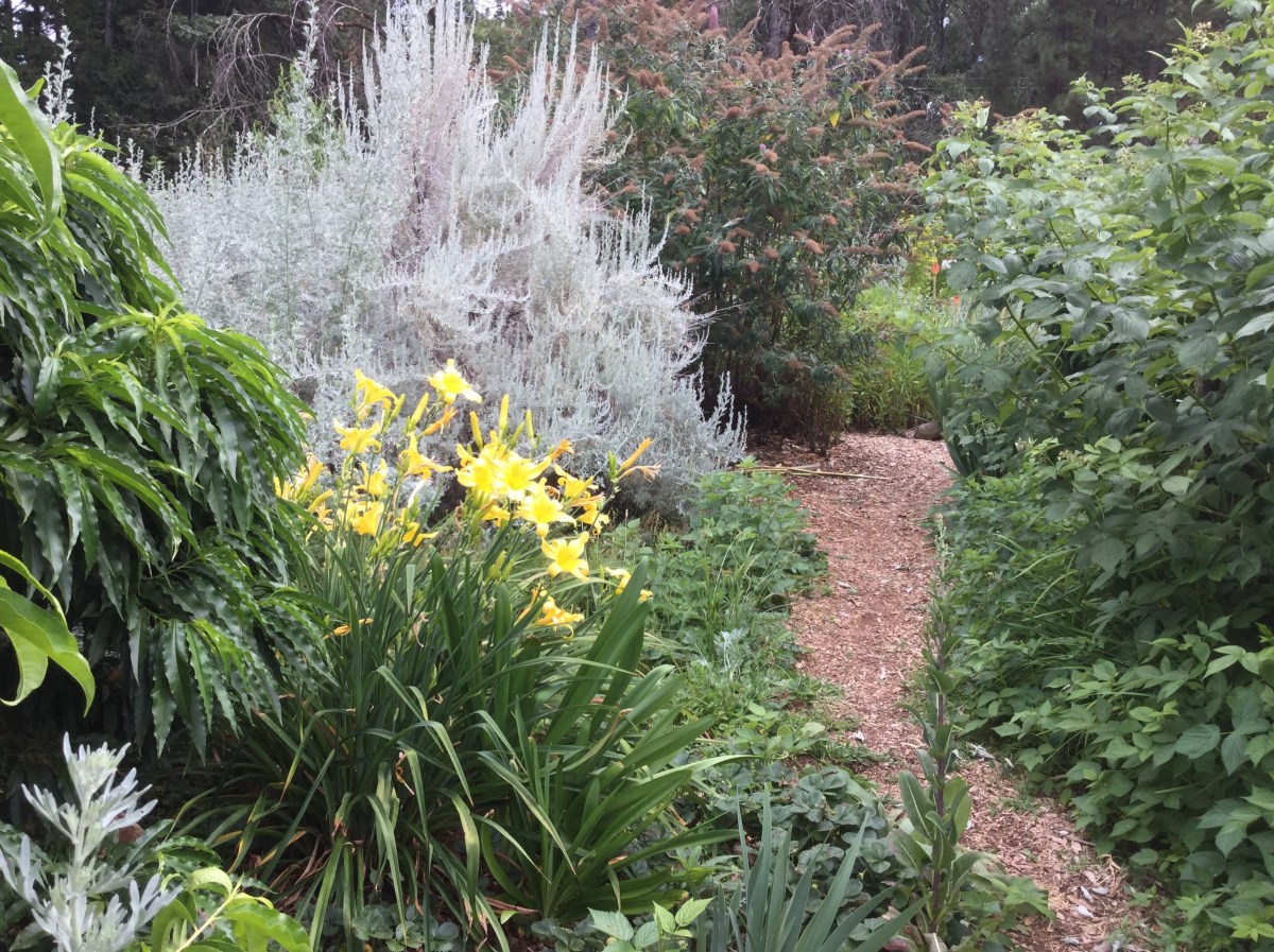 Permaculture Services – Natural Collaboration